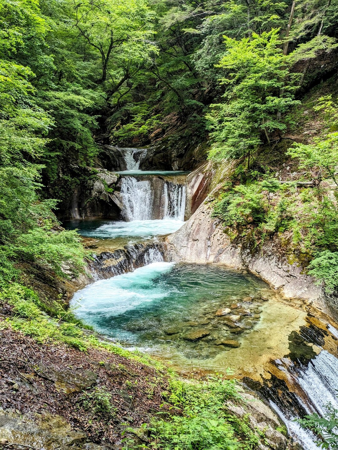 西沢渓谷 / Satochanさんの甲武信ヶ岳の活動データ | YAMAP / ヤマップ