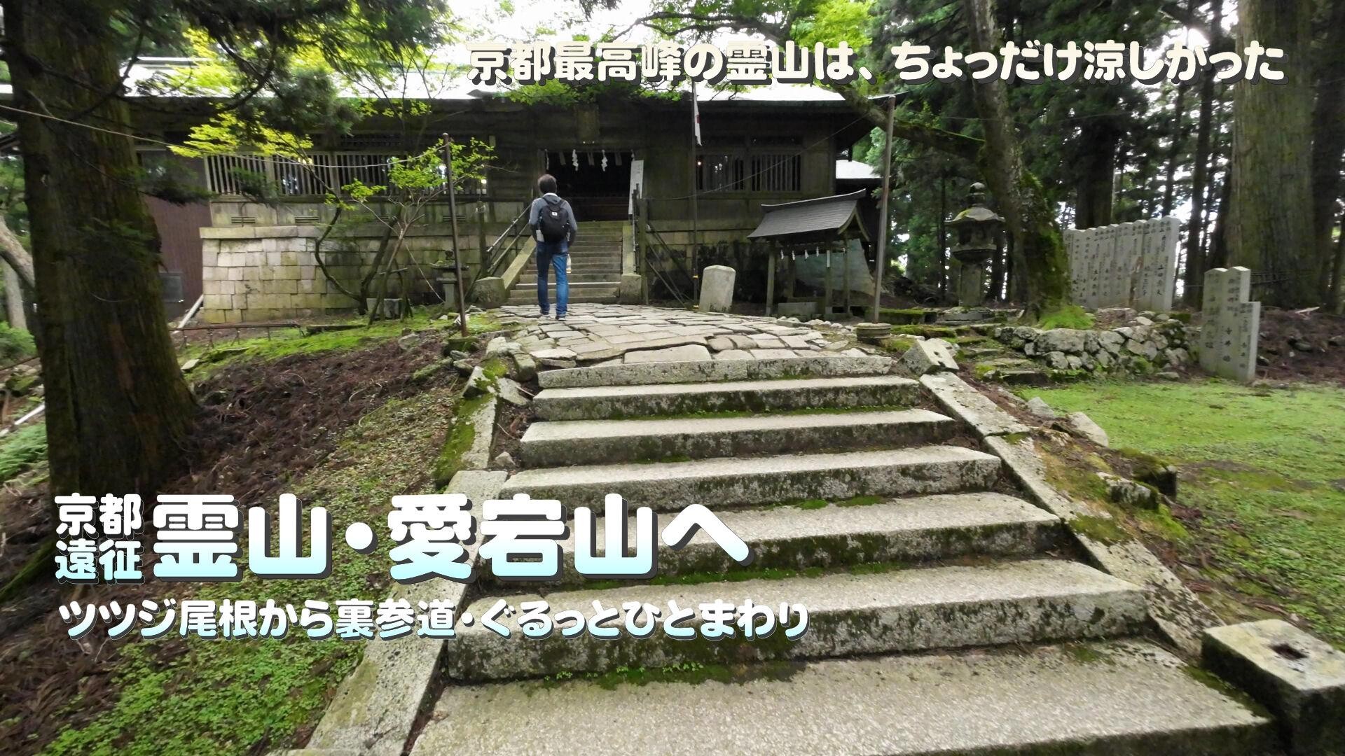 Youtube:[https://you... / StrayCatさんのモーメント | YAMAP / ヤマップ