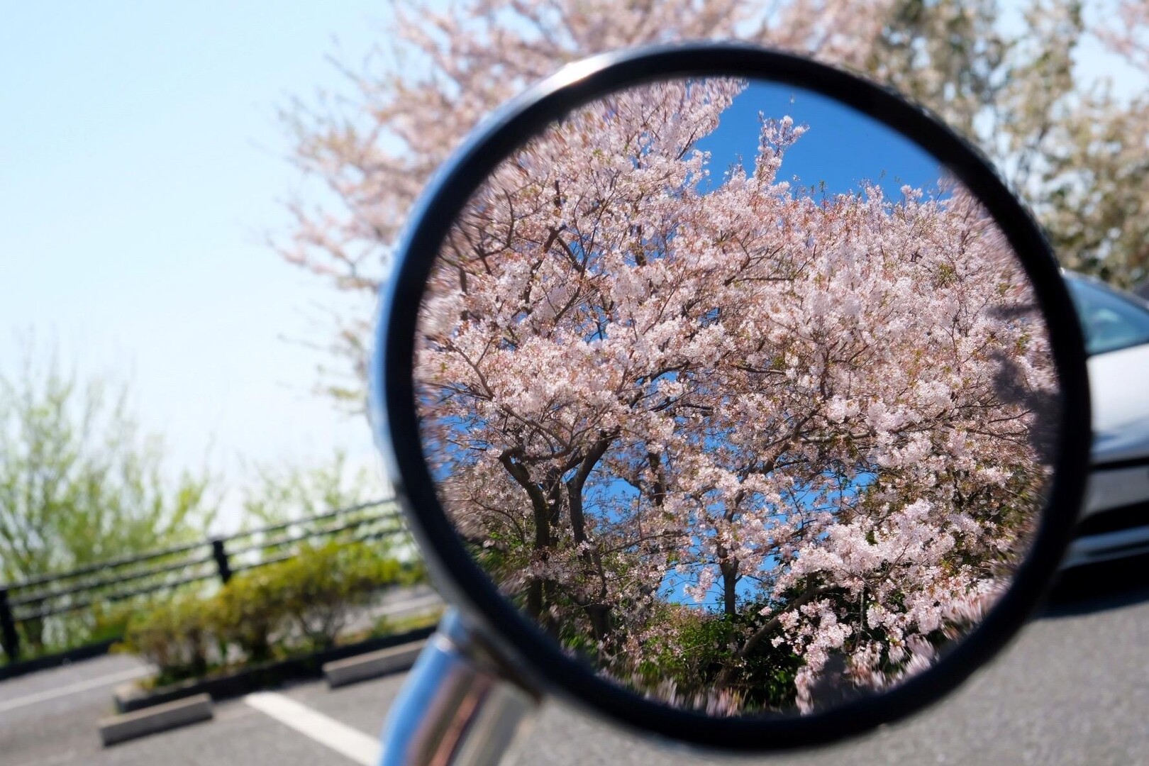 YAMAPさん起動忘れました😭 いつも... / Ayaさんのモーメント | YAMAP / ヤマップ