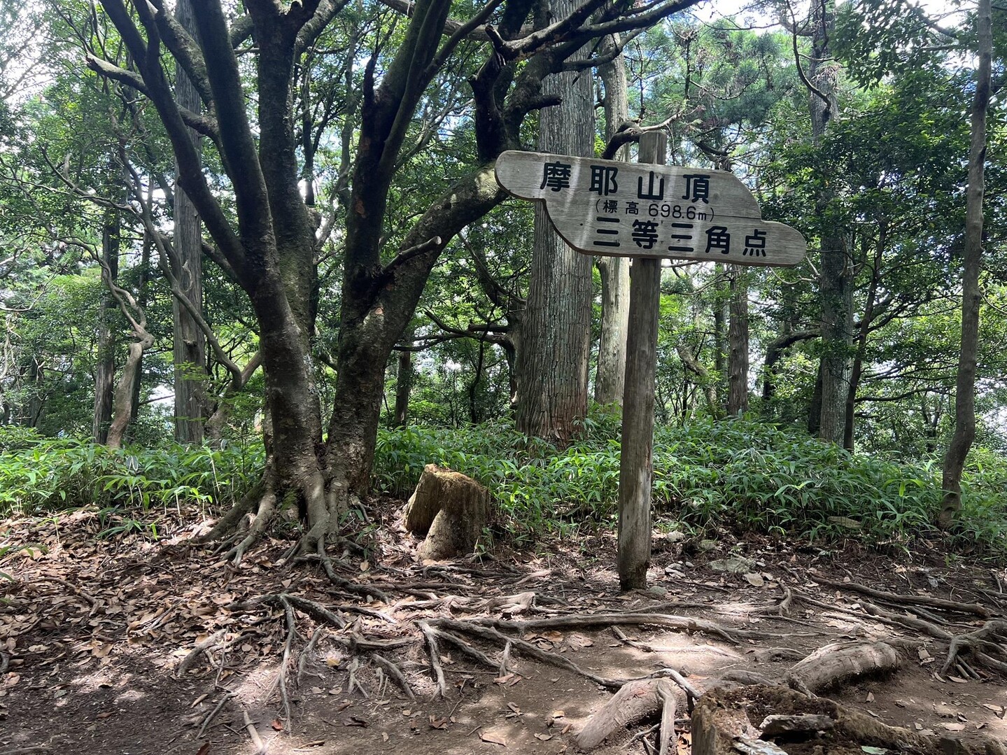 六甲山系3日目 摩耶山12km / vividさんの六甲山・長峰山・摩耶山の活動データ | YAMAP / ヤマップ