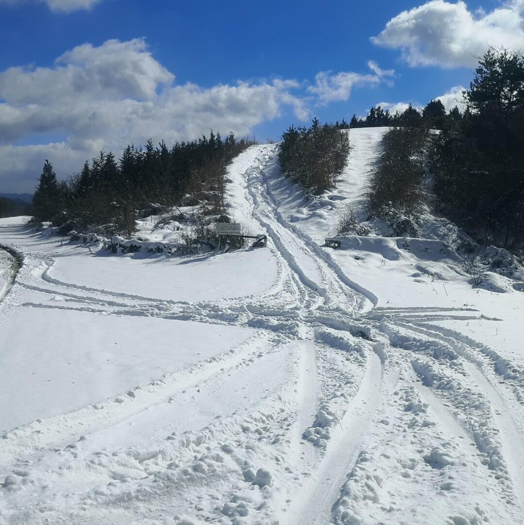 予想より少なかった雪・三頭山 / ta.hayaさんの竜王山（讃岐山脈）・大川山の活動データ | YAMAP / ヤマップ