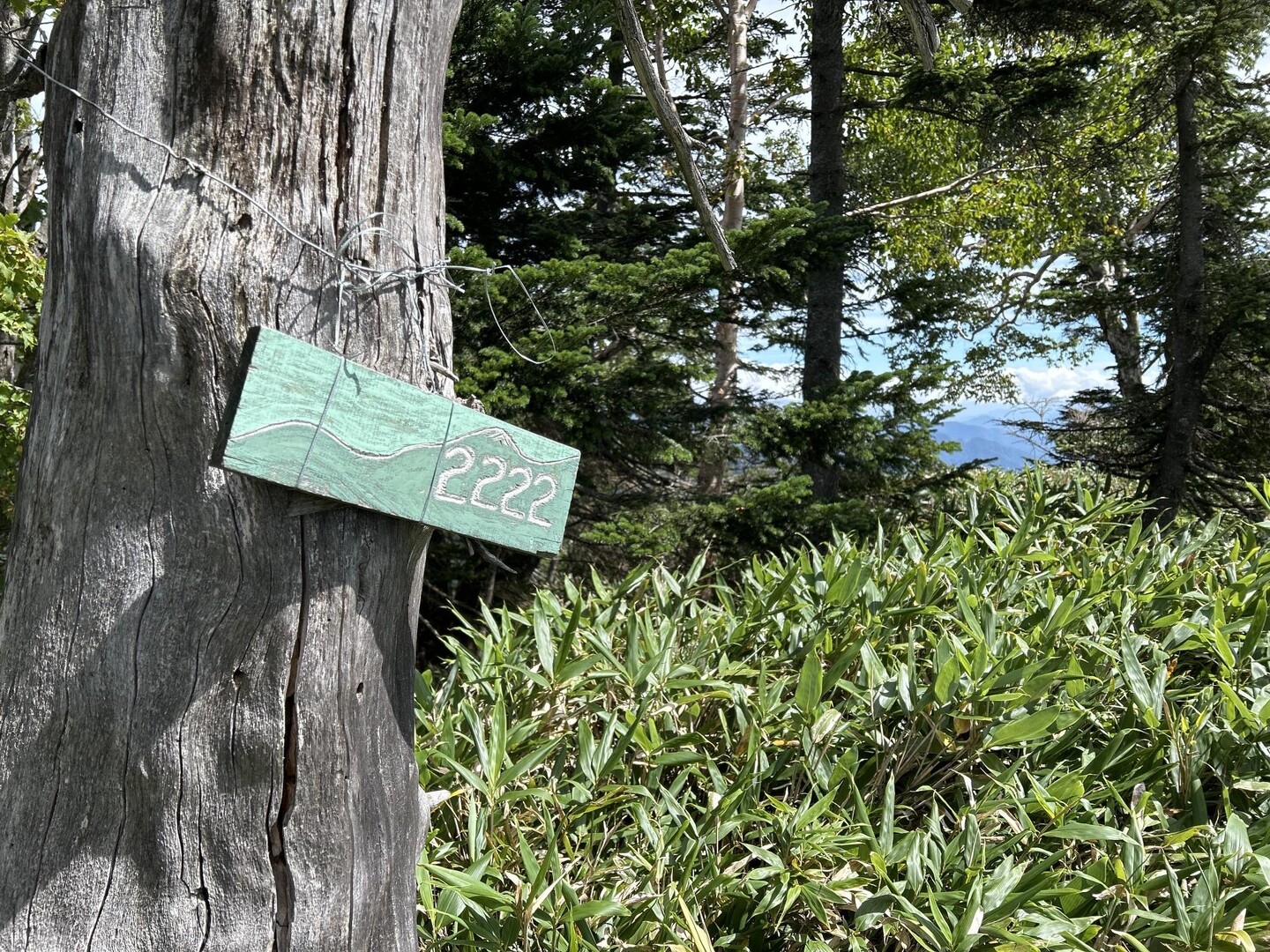 四郎岳・燕巣山 / mimosaさんの鬼怒沼山・物見山・黒岩山の活動データ | YAMAP / ヤマップ