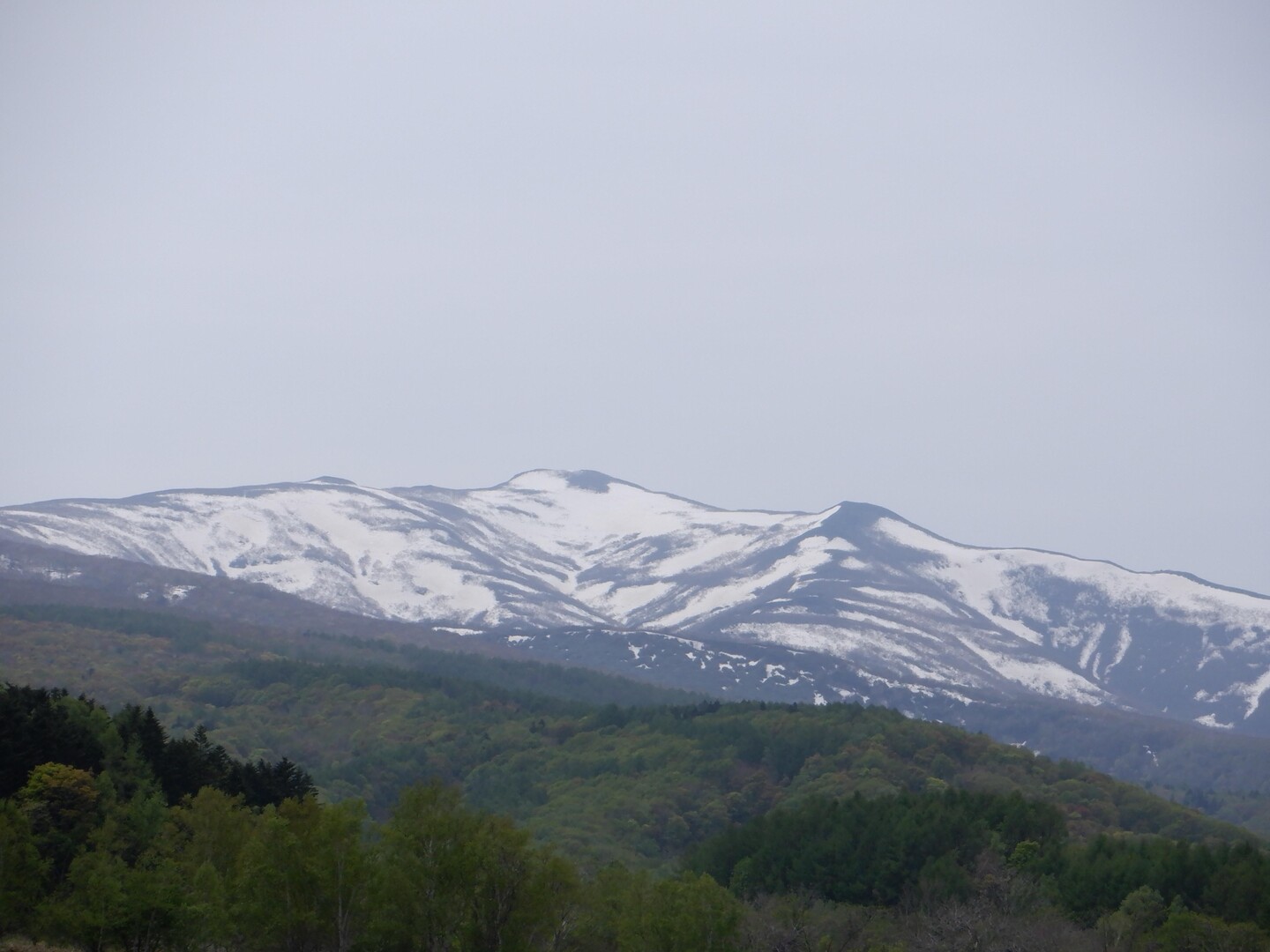 積丹岳 / sapさんの積丹半島北部・積丹岳の活動データ | YAMAP / ヤマップ