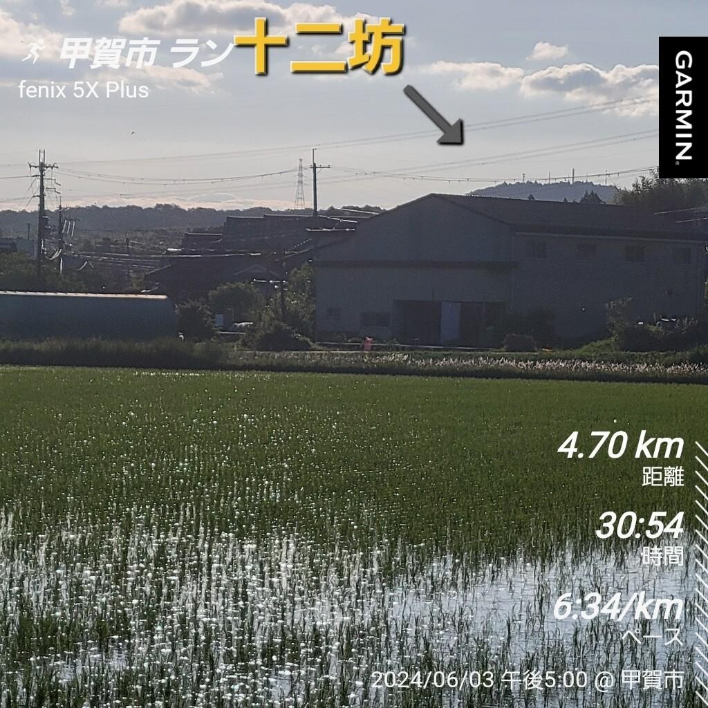 山トレSSD / baseさんのランニングの活動データ | YAMAP / ヤマップ