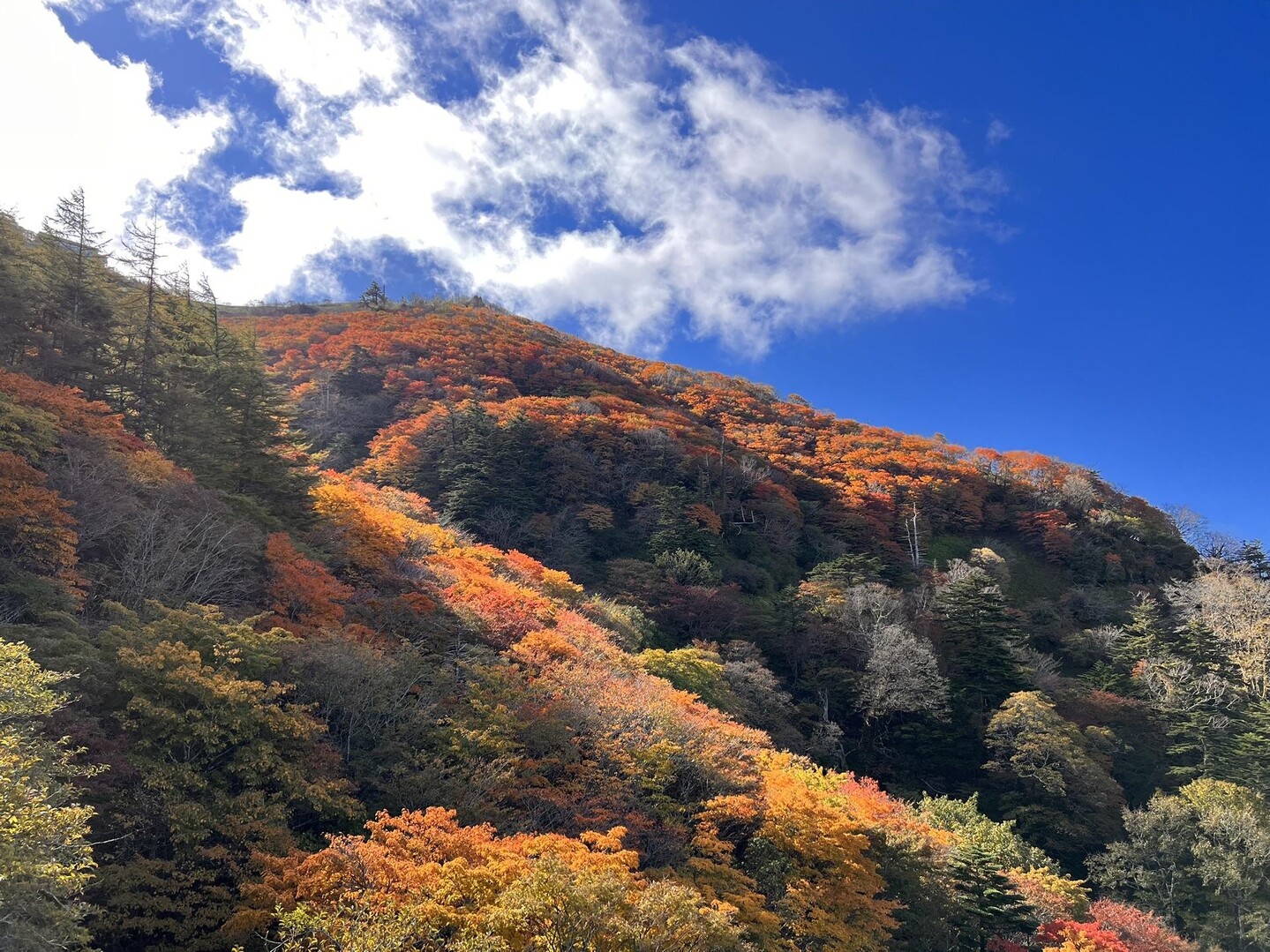 剣山紅葉狩り🍁 / 1091maruさんの剣山の活動データ | YAMAP / ヤマップ