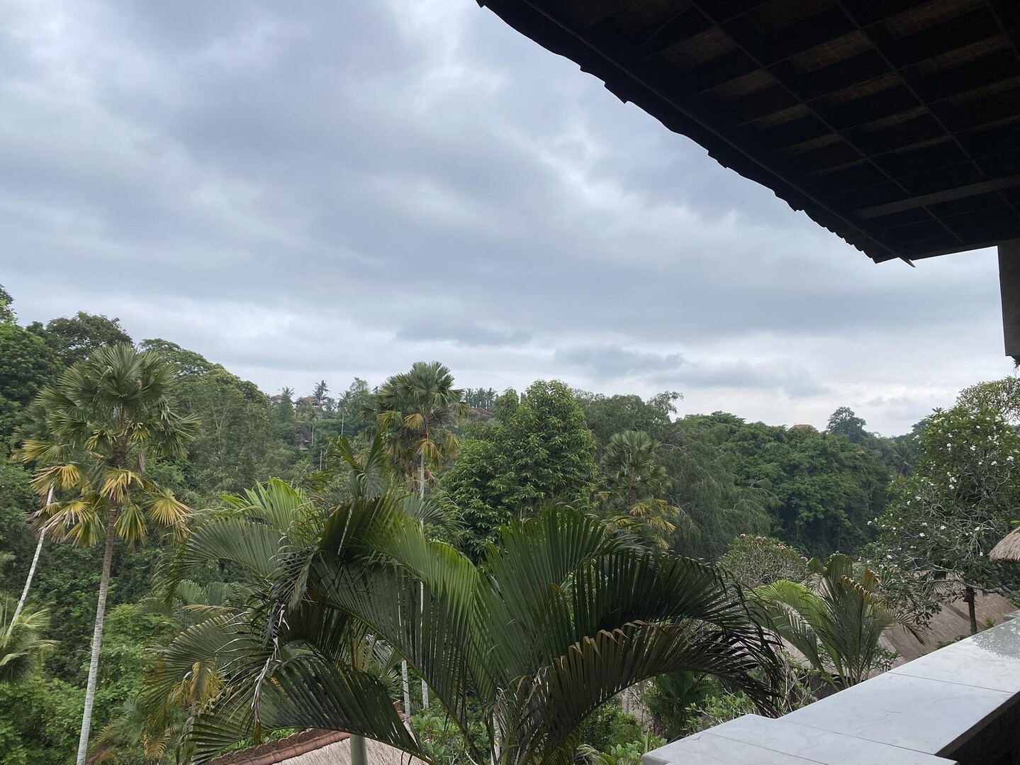 久々のバリ島 / manmaruさんのウブドの活動データ | YAMAP / ヤマップ