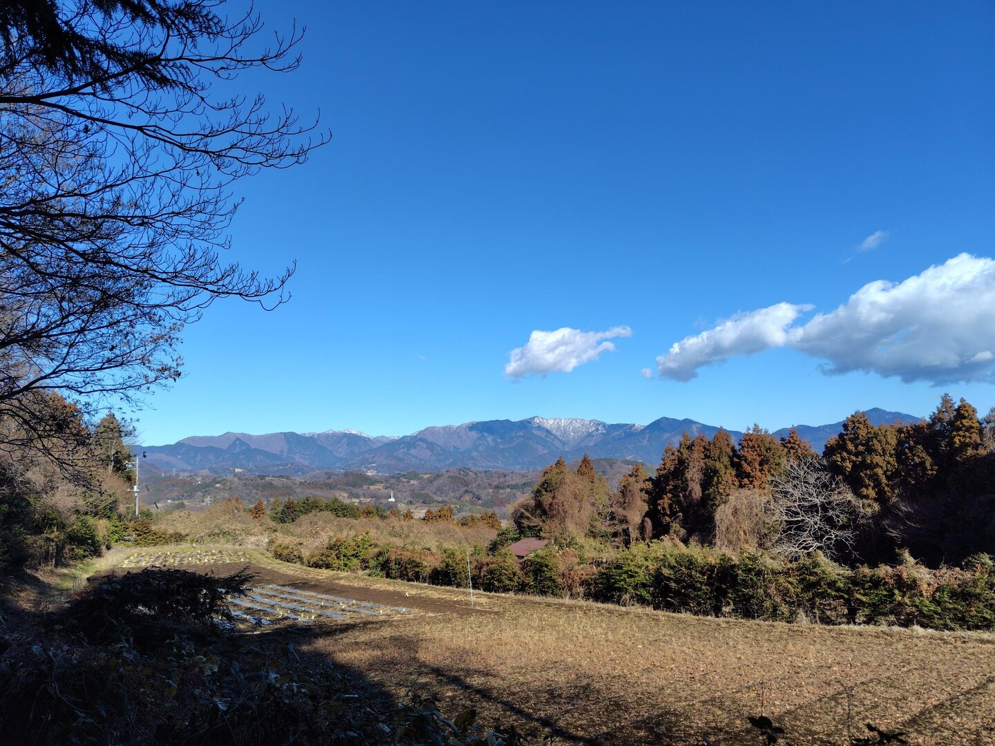 高山・曽我山・不動山・浅間山 / A1-2075さんの不動山・浅間山・曽我山の活動日記 | YAMAP / ヤマップ