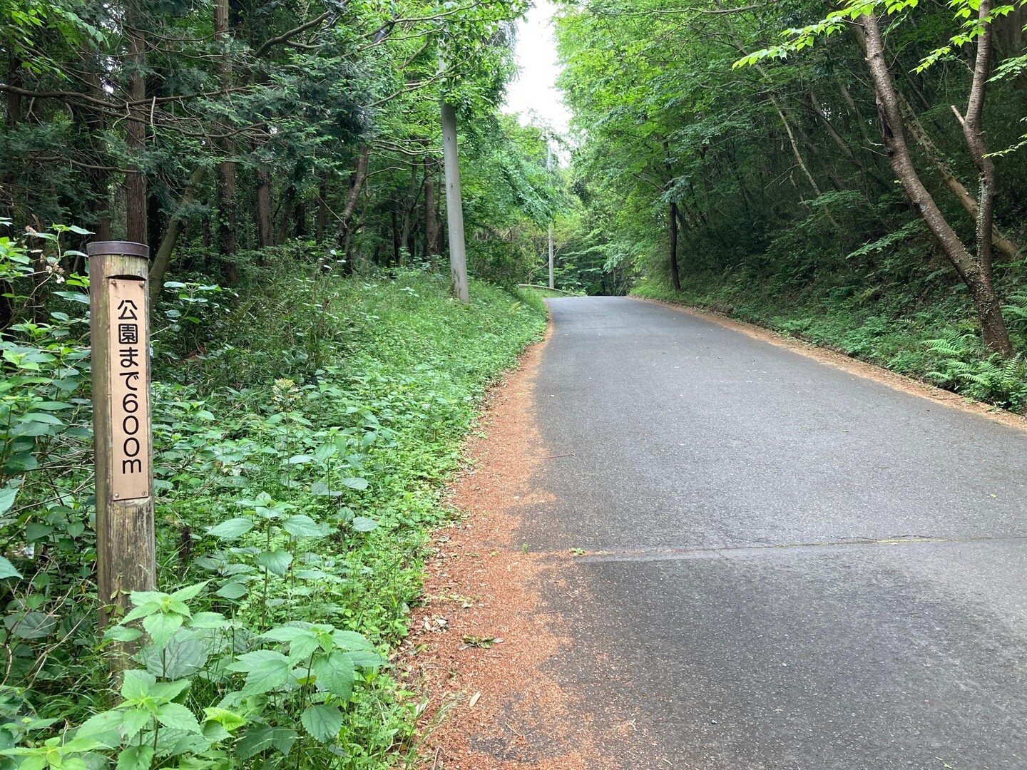 taoさんの投稿したフィールドメモ | YAMAP / ヤマップ