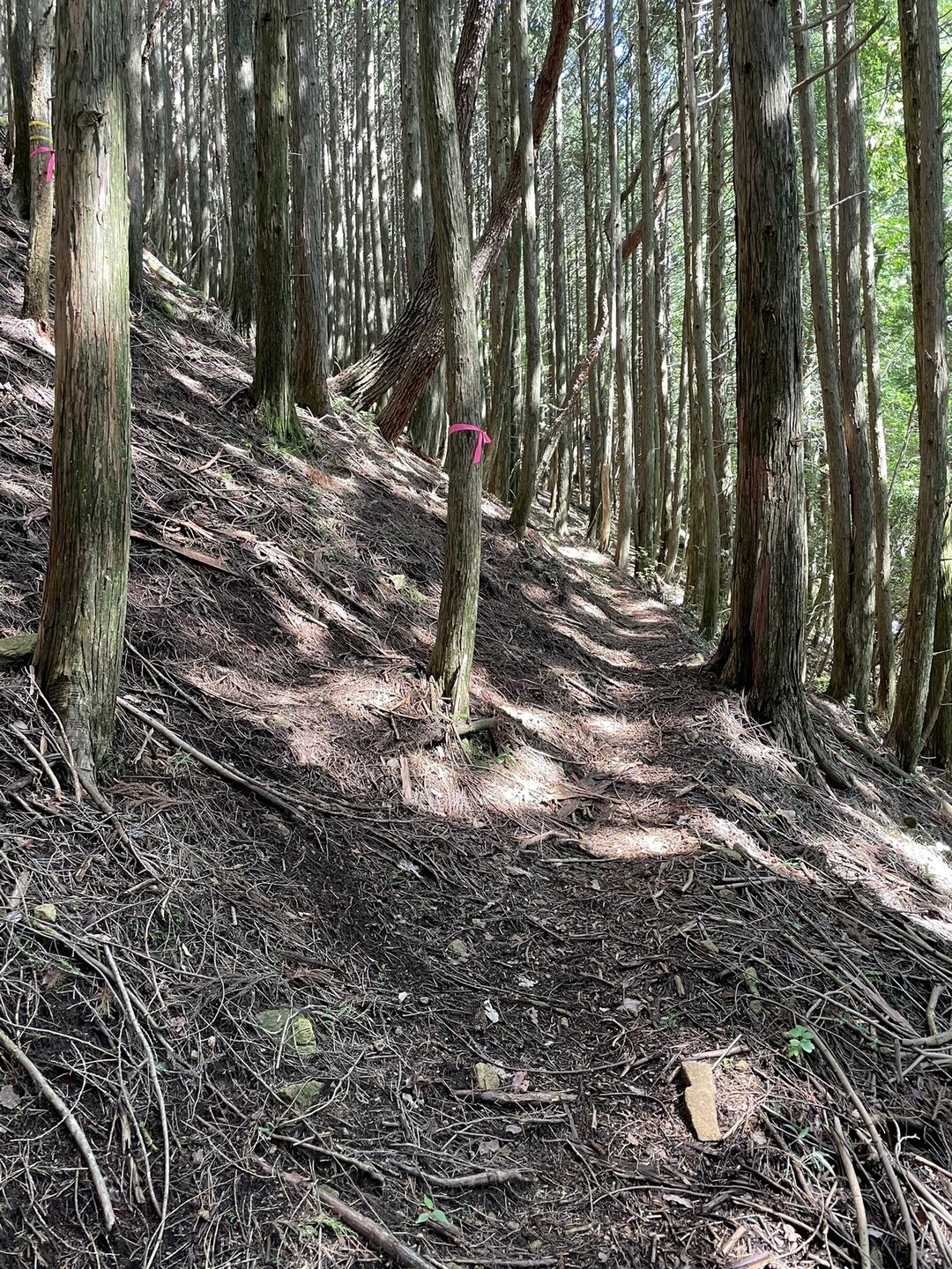 kazuomoさんの投稿したフィールドメモ | YAMAP / ヤマップ