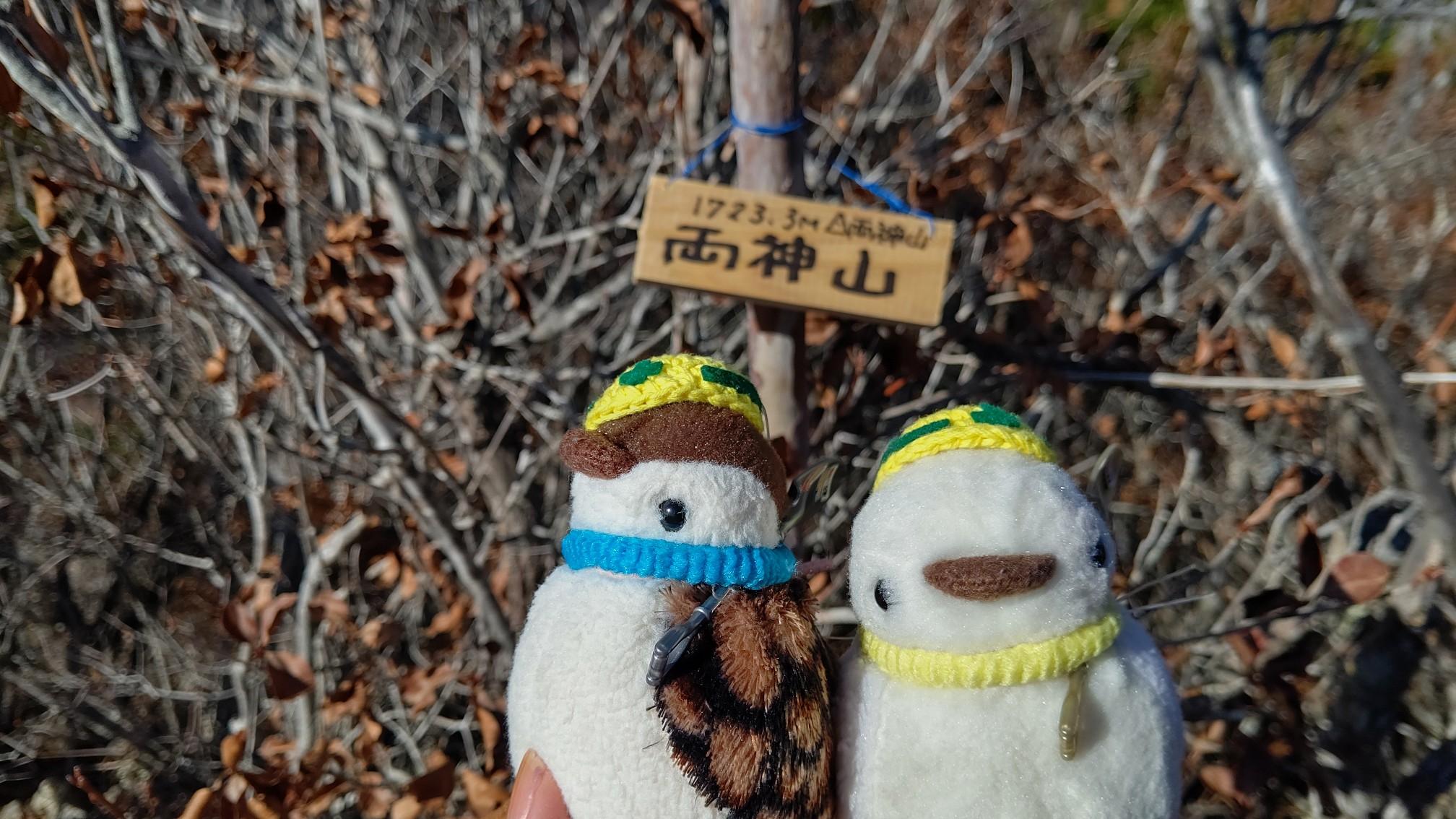 両神山【入山許可制ルート】 / *yukapico**さんの両神山・諏訪山・二子山の活動データ | YAMAP / ヤマップ