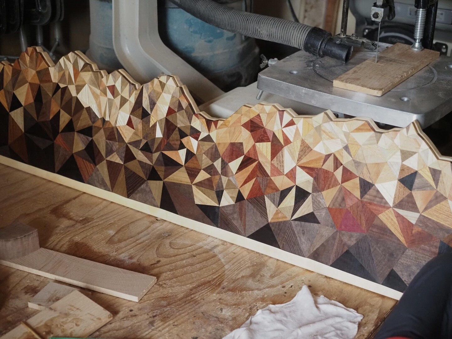 2023年中にできた。 / COOBAさんのモーメント | YAMAP / ヤマップ