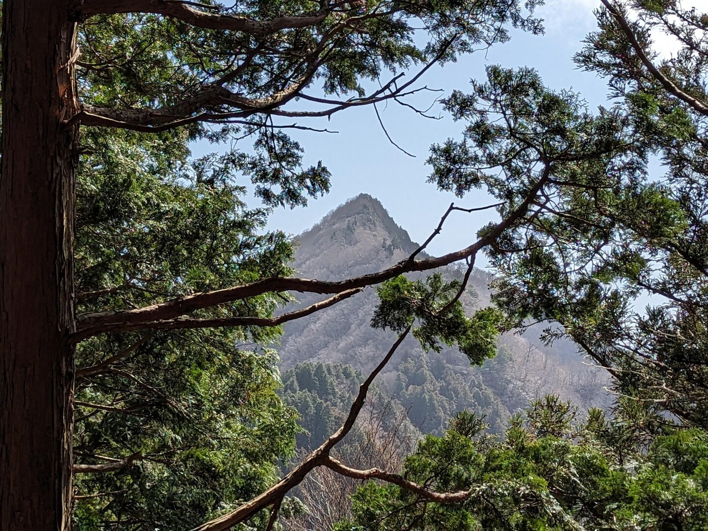 🤓白鬚岳💦近畿百名山#88 / "satoh"さんの白鬚岳の活動データ | YAMAP / ヤマップ