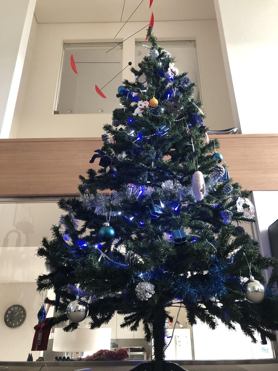 すずのページ | YAMAP / ヤマップ