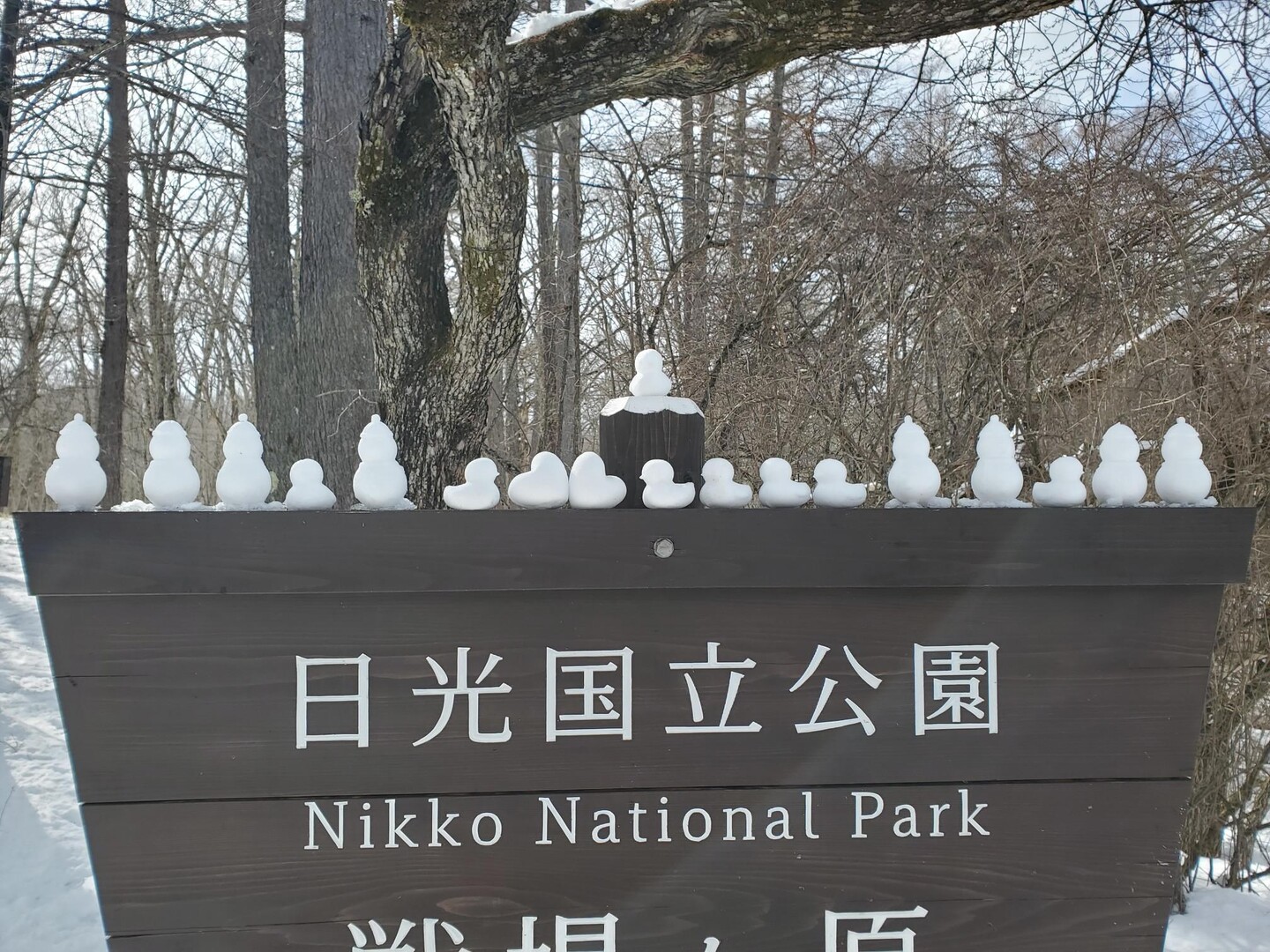 庵滝でトレジャーハンター気分🎵 / E35-sun☀️さんの社山・半月山の活動データ | YAMAP / ヤマップ