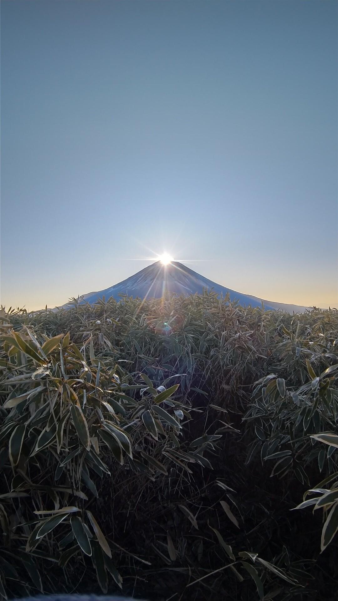 竜ヶ岳ダイヤモンド富士リベンジ成功 / 湘南3699さんの毛無山・雨ヶ岳・竜ヶ岳の活動データ | YAMAP / ヤマップ