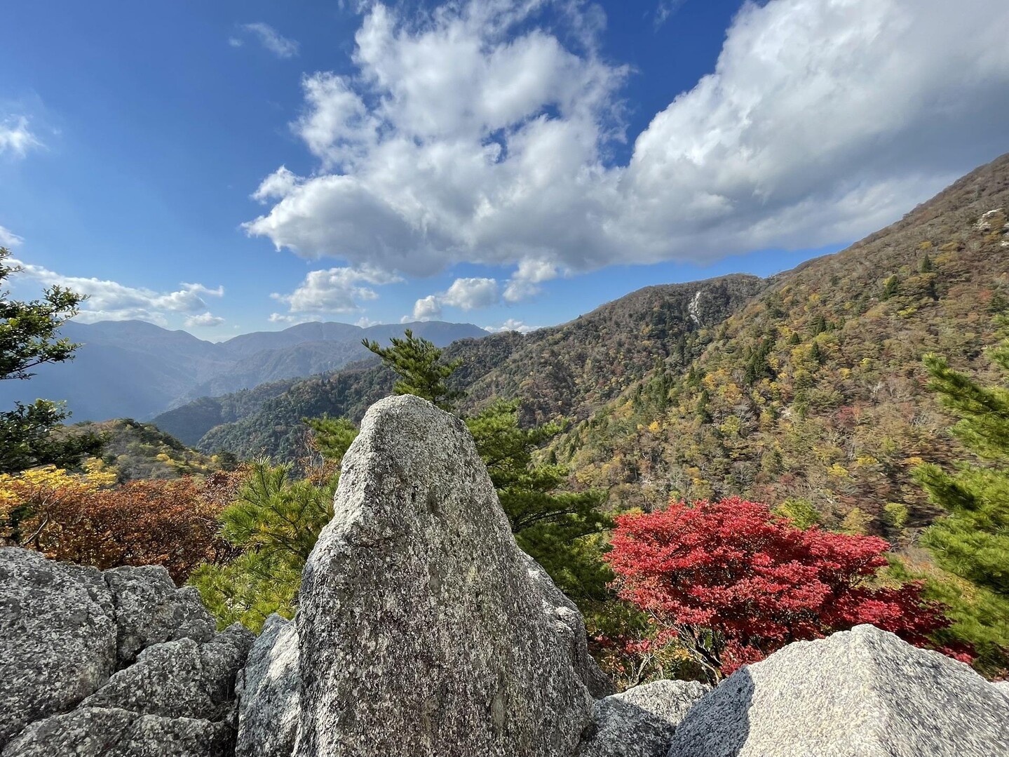 釈迦ヶ岳・猫岳・羽鳥峰 / Bobさんの釈迦ヶ岳の活動データ | YAMAP / ヤマップ