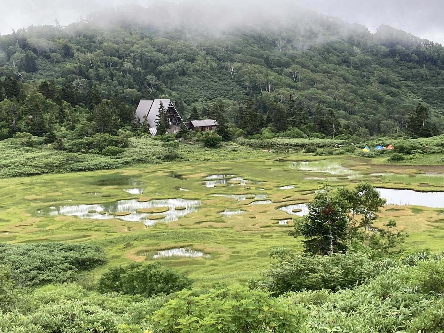 火打山・茶臼山・妙高山（北峰）・妙高山（南峰） / joさんの妙高山・火打山の活動データ | YAMAP / ヤマップ
