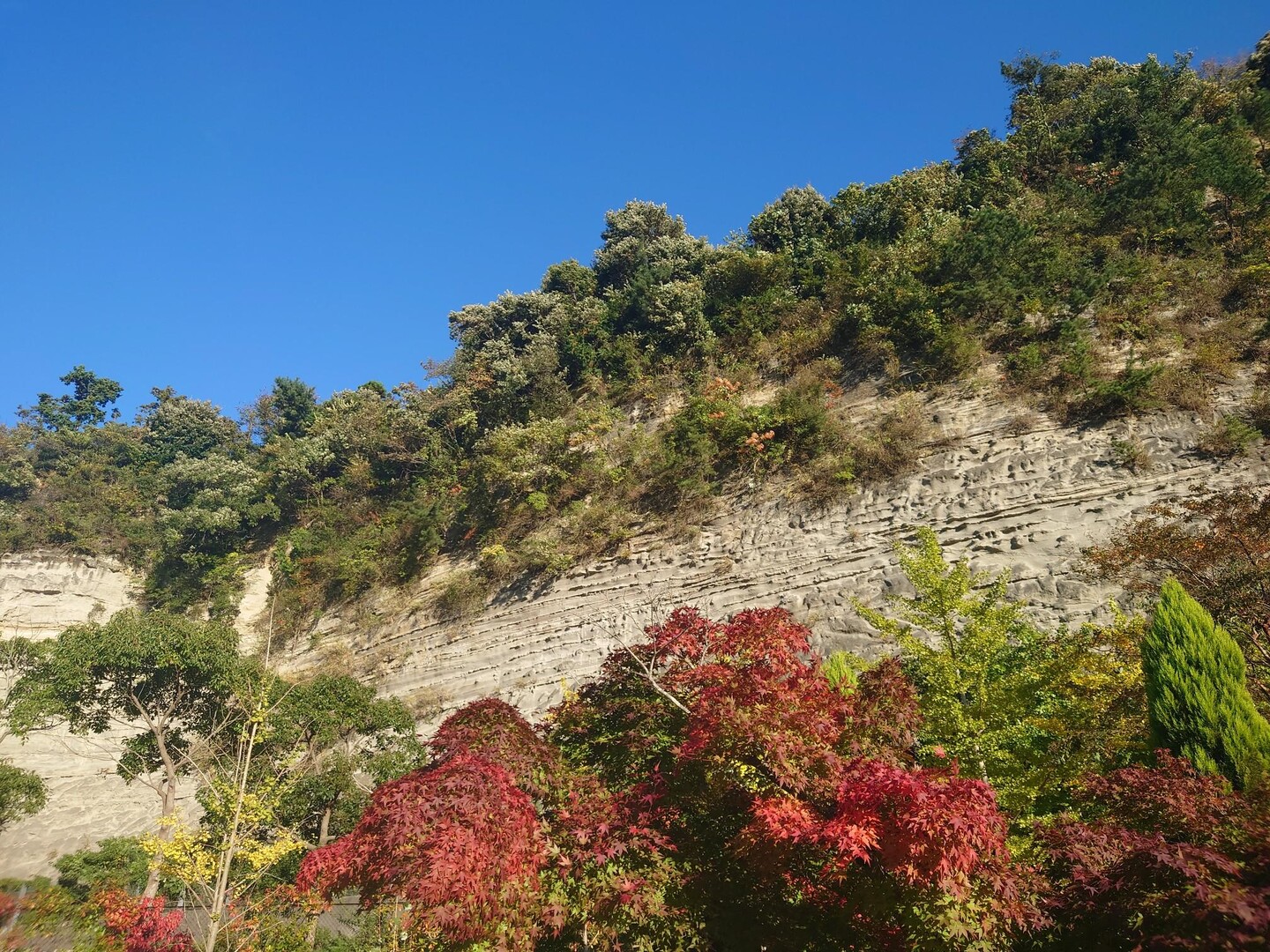 里山徘徊～今泉不動と皆城山 / ANCさんの横浜市 南エリアの活動データ | YAMAP / ヤマップ