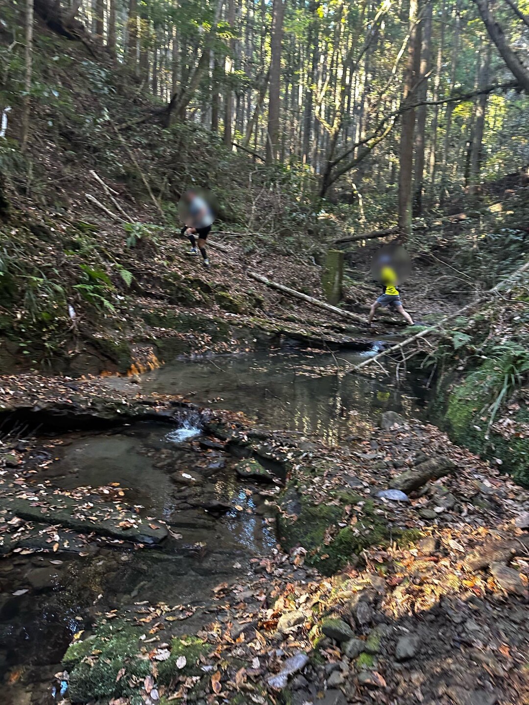 MURB OTAKI SENGOKU EXTREMES 2024🏃‍♀️ / めぐさんの大塚山の活動データ | YAMAP / ヤマップ