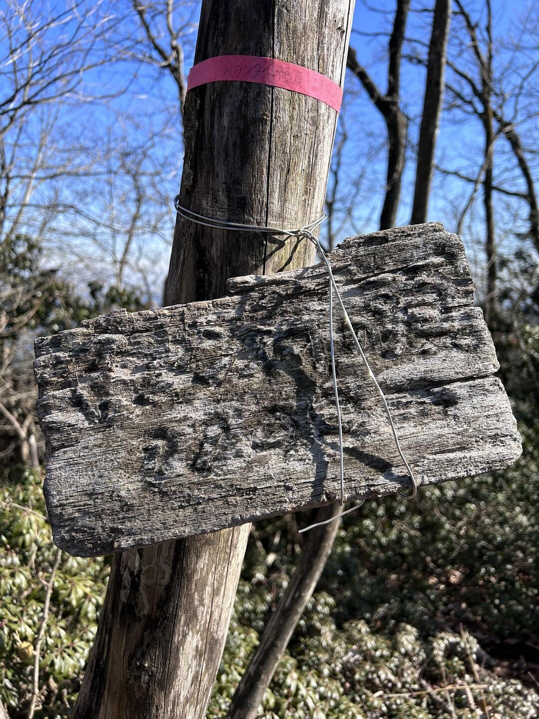 蕨山・有間山(橋小屋の頭)・ヤシンタイノ頭・しょうじくぼの頭・滝入ノ頭 / MC HIROさんの武甲山・伊豆ヶ岳・小持山の活動データ | YAMAP / ヤマップ