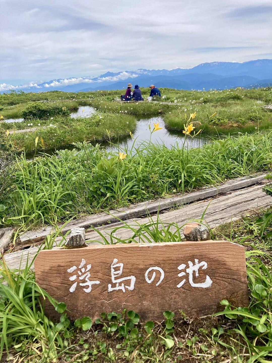 天空の白木峰 / mimiさんの白木峰・小白木峰の活動データ | YAMAP / ヤマップ