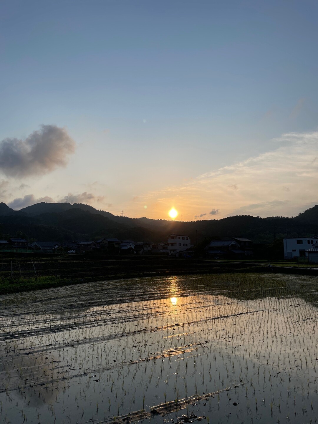 2022.06.12(日) 01:46 / Mさんのモーメント | YAMAP / ヤマップ