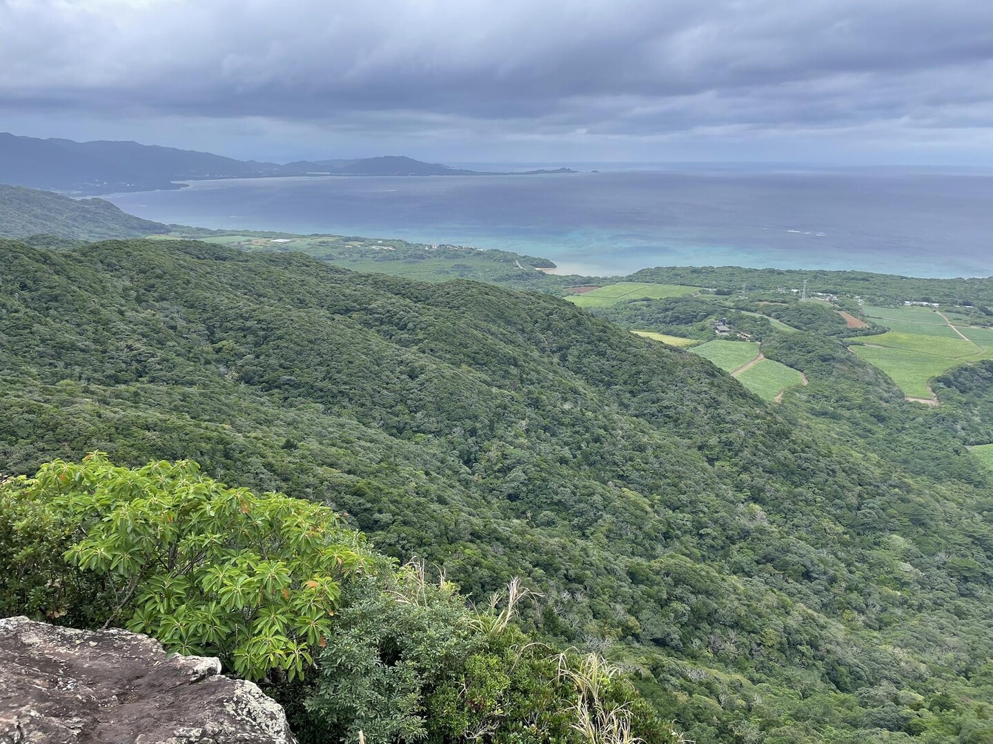 トレイル試走inまーぺー-2023-12-03 / sae.irisさんのランニングの活動データ | YAMAP / ヤマップ