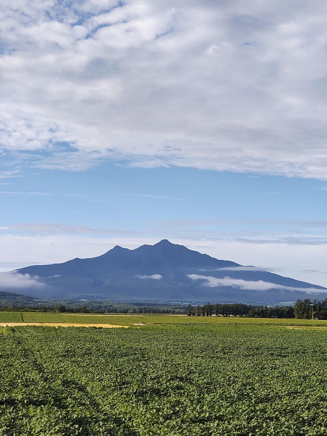 渡渉よりも激坂だった!斜里岳 / kaz kitさんの斜里岳の活動データ | YAMAP / ヤマップ