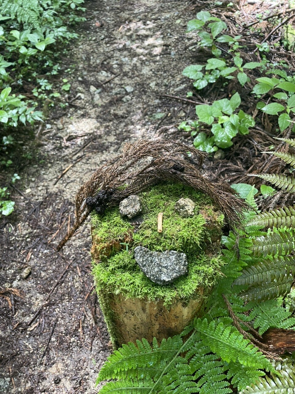 aruのページ | YAMAP / ヤマップ