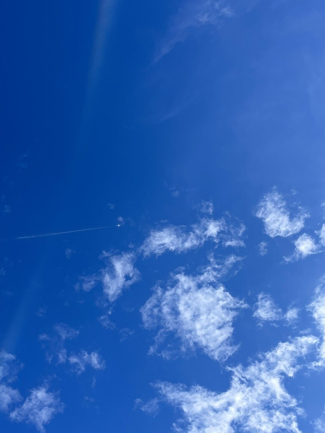 ウォーキングにて。 何処へ行くのかな‥‥... / mattさんのモーメント | YAMAP / ヤマップ