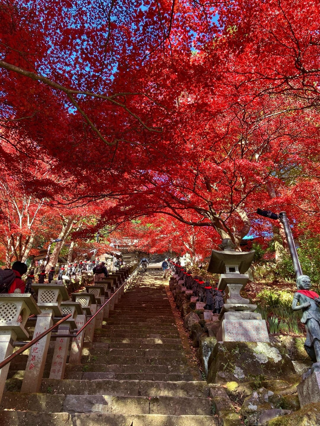 大山🍁MAX（男坂→山頂→女坂） / ぼっち登山さんの塔ノ岳・丹沢山・蛭ヶ岳の活動データ | YAMAP / ヤマップ