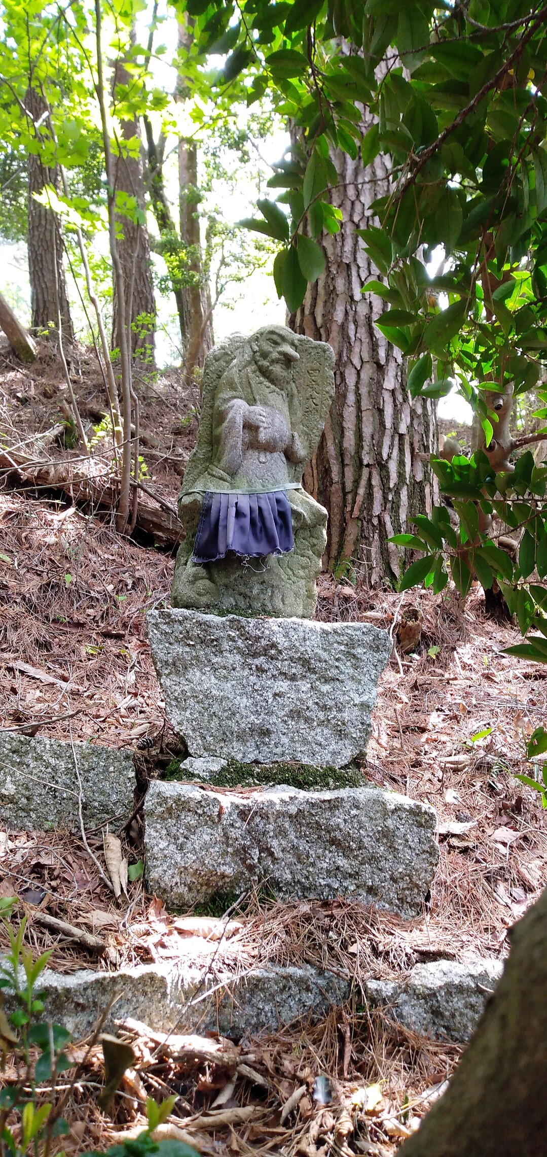 天瀑山 / yameiさんの三森山・水晶山の活動データ | YAMAP / ヤマップ