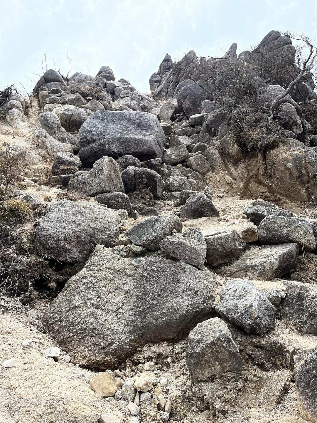 HISA🌿さんの投稿したフィールドメモ | YAMAP / ヤマップ