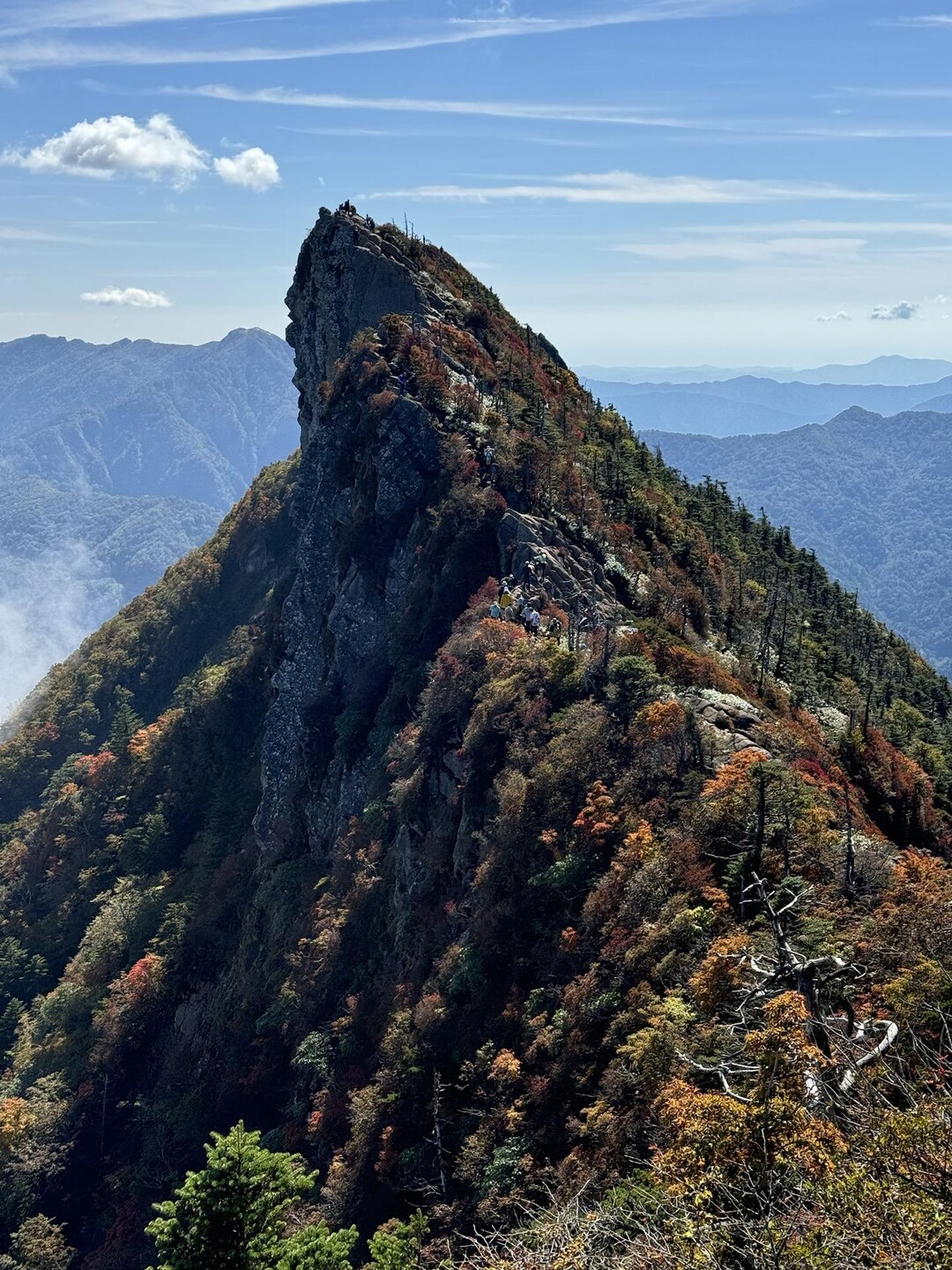 石鎚山・天狗岳・南尖峰 / emiさんの石鎚山・堂ヶ森・二ノ森の活動データ | YAMAP / ヤマップ