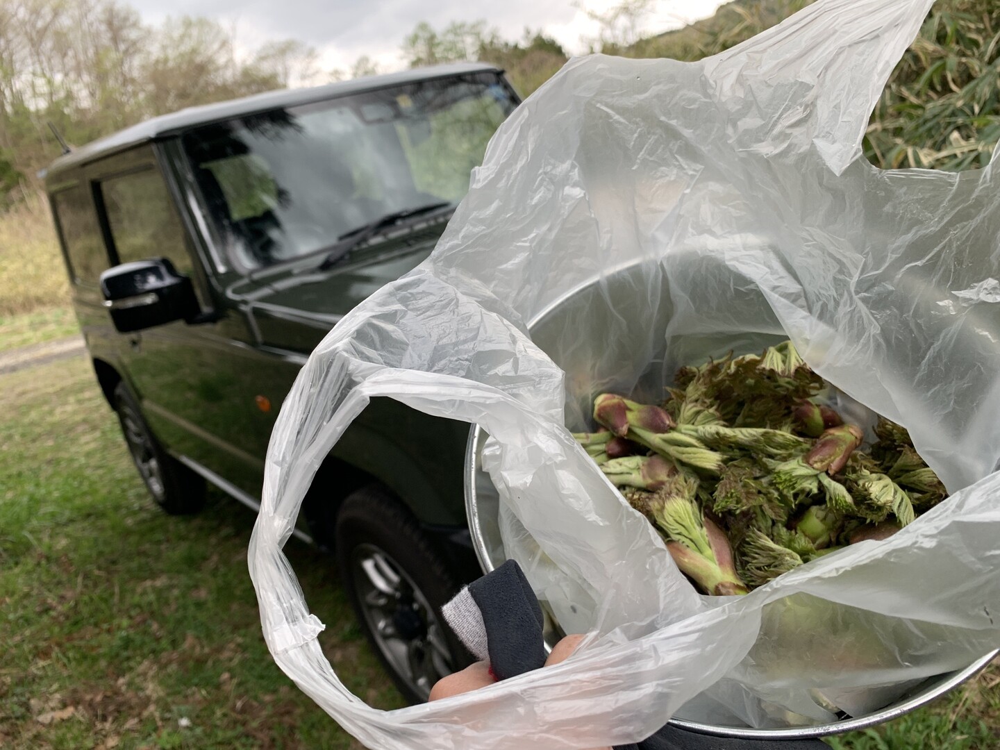 バケツ🪣いっぱい😋 / shivaさんのモーメント | YAMAP / ヤマップ