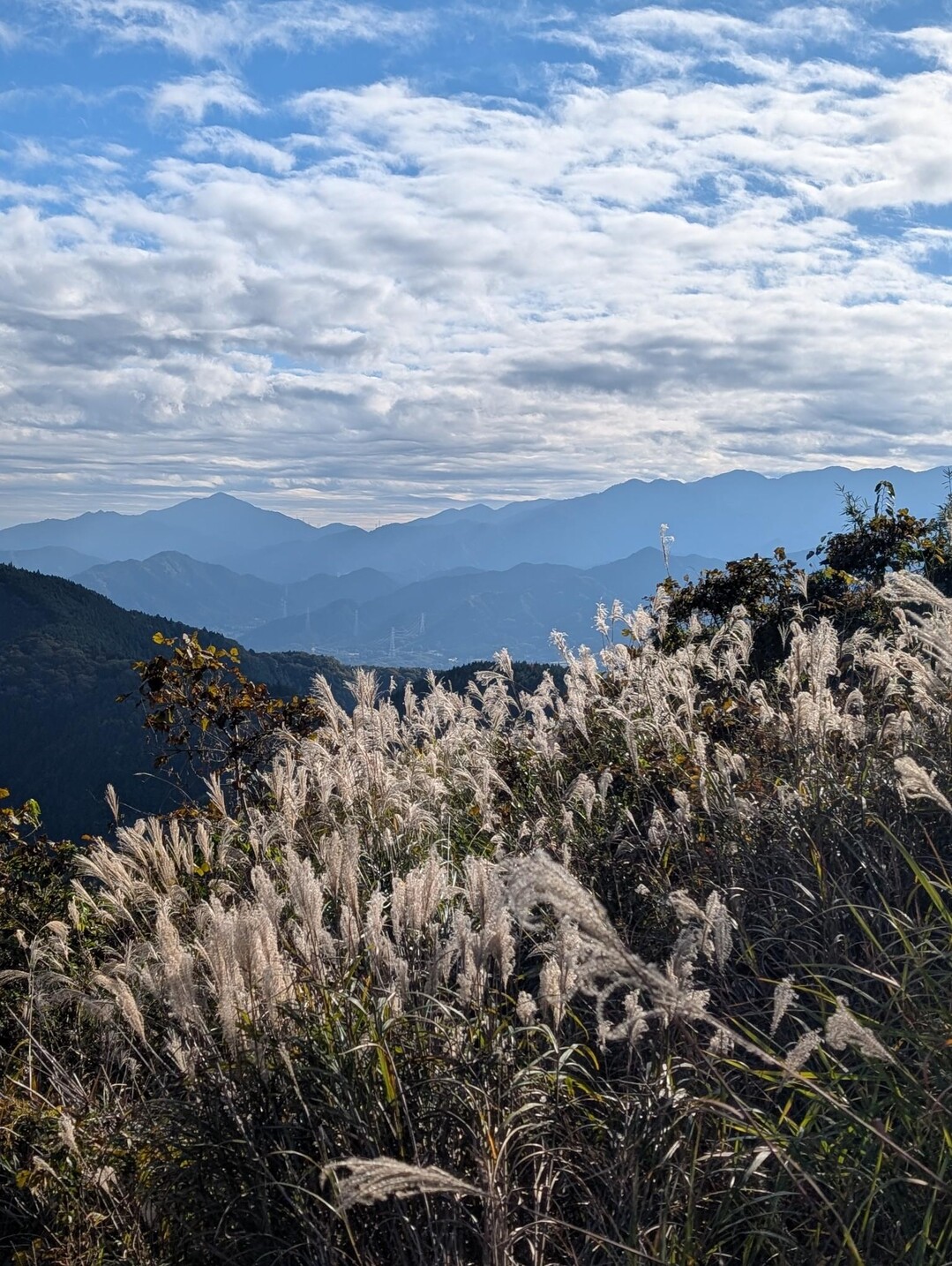 裏高尾・478m圏峰・大久保山・景信山・城山（小仏城山）・高尾山・神変山 / STUDIO ROGERSさんの高尾山・陣馬山・景信山の活動日記 | YAMAP / ヤマップ