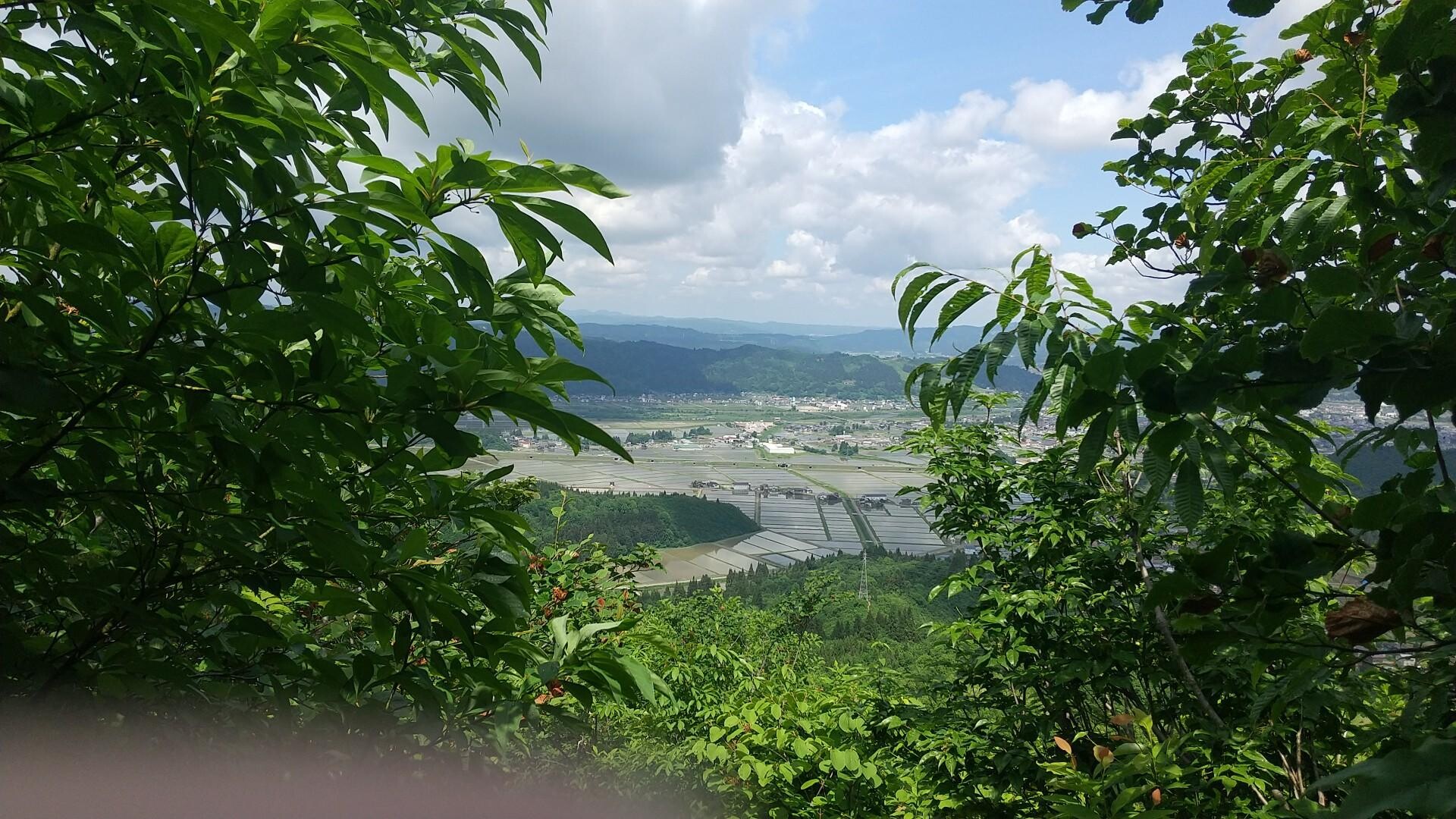 大力山からの楽しい一日♡ / ayaさんの大力山・黒禿の頭・笠倉山の活動データ | YAMAP / ヤマップ