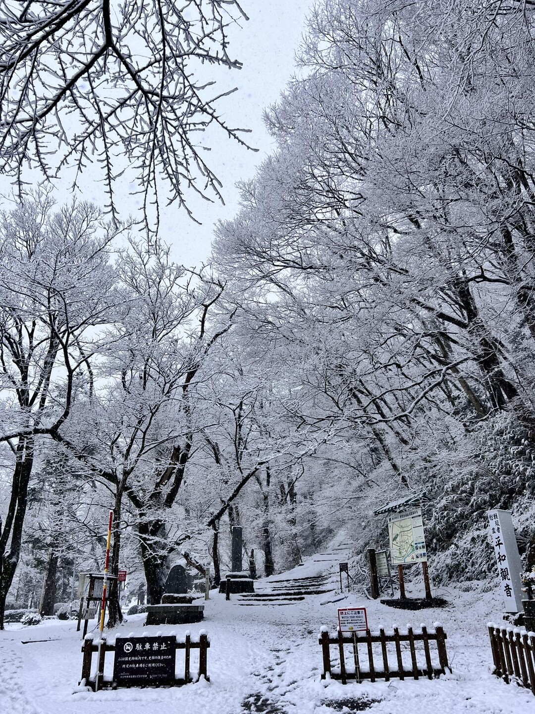 臥牛山 / unicoさんの村上市（村上地区）の活動データ | YAMAP / ヤマップ