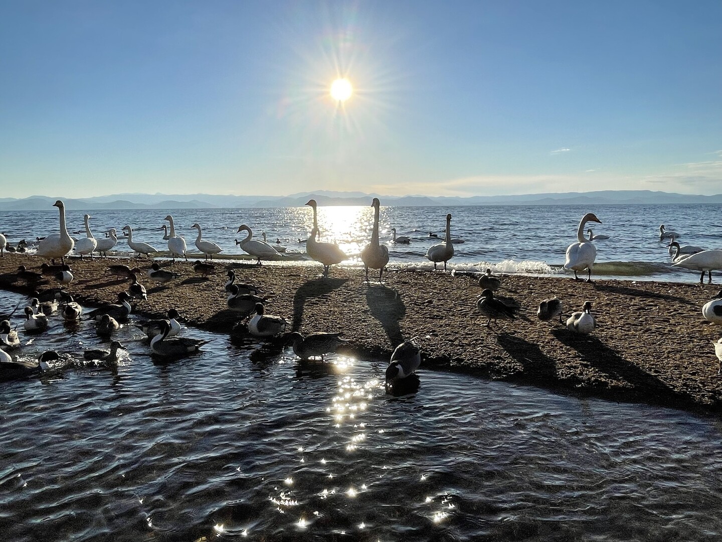 2021.12.31(金) 21:39 / ケロケロ🐸🐸🐸さんのモーメント | YAMAP / ヤマップ