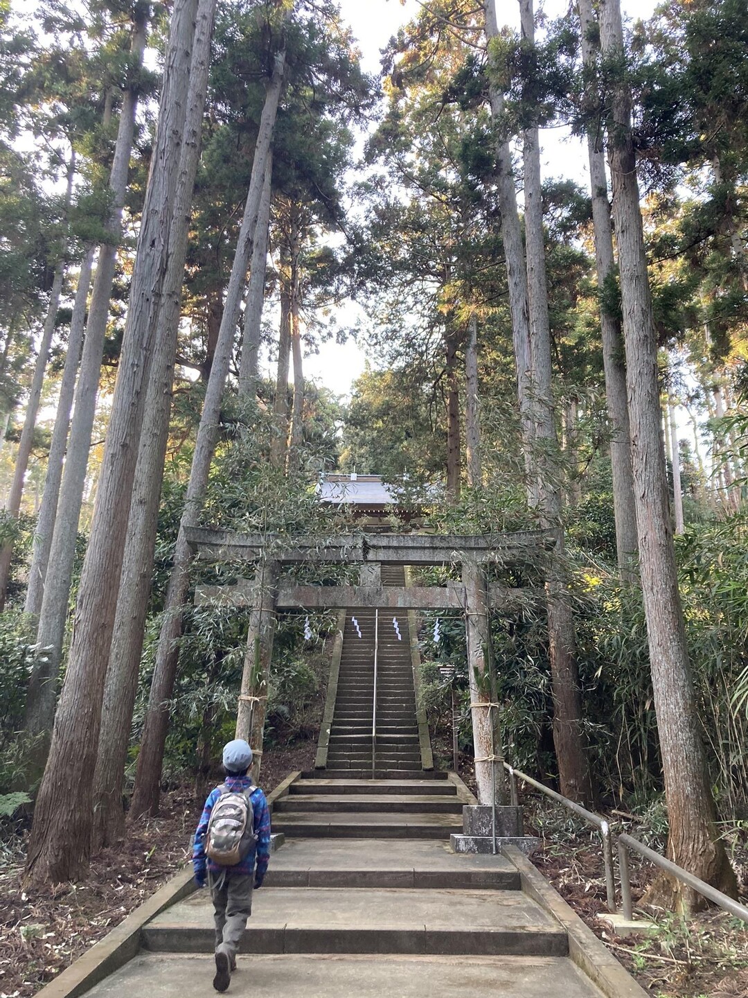 胡桃山・天台山・天園・朝比奈切通 / gyamaさんの鎌倉アルプス（大平山・天台山）の活動データ | YAMAP / ヤマップ