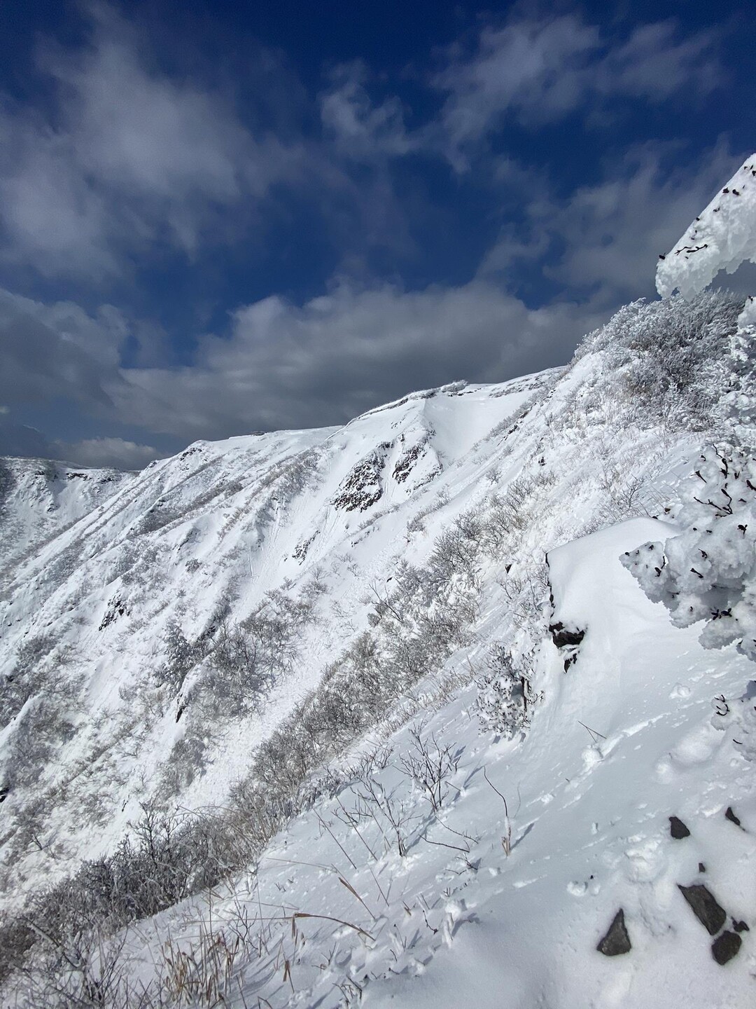 大平山・女三瓶山・兜山・男三瓶山(三瓶山) / YMTさんの三瓶山・大平山の活動データ | YAMAP / ヤマップ
