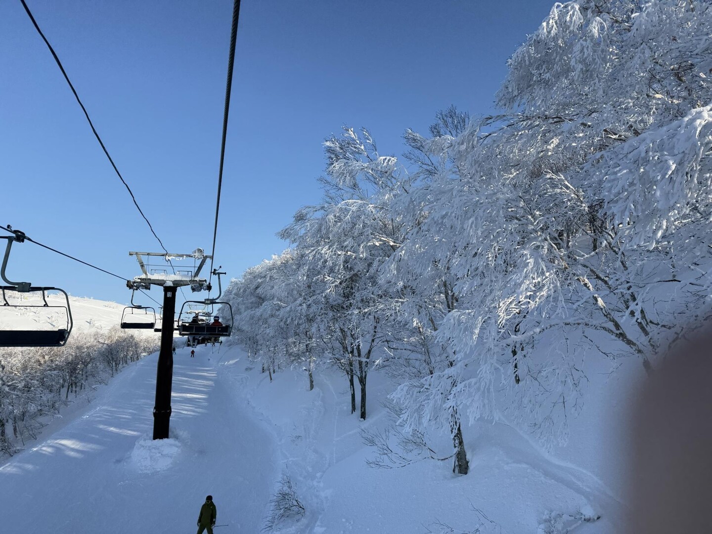 大人になると年末年始は色々あって自分の事... / miさんのモーメント | YAMAP / ヤマップ