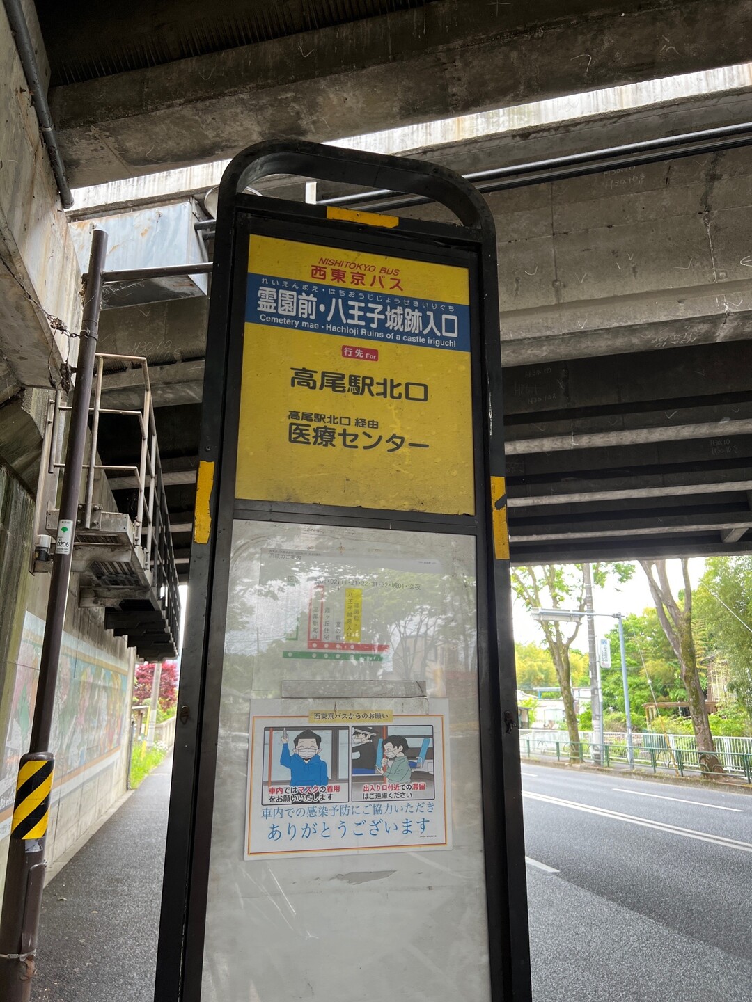 Amy(エイミー)さんの投稿したフィールドメモ | YAMAP / ヤマップ