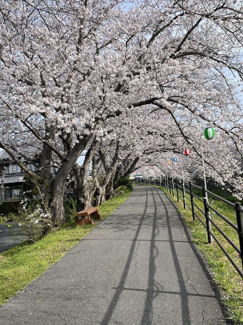 shunのページ | YAMAP / ヤマップ