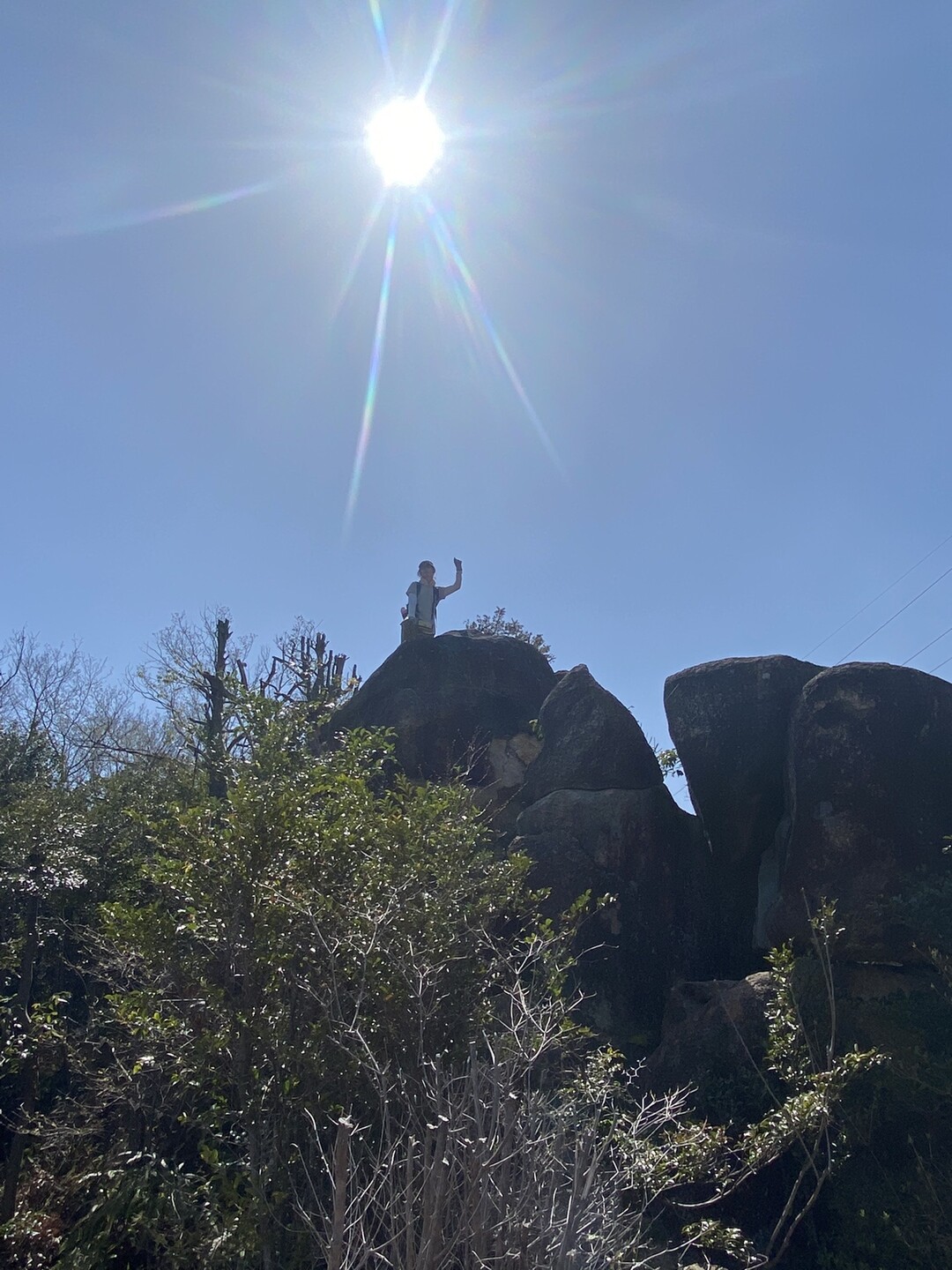 甲山 / キッチンカロリーさんの六甲山・長峰山・摩耶山の活動データ | YAMAP / ヤマップ