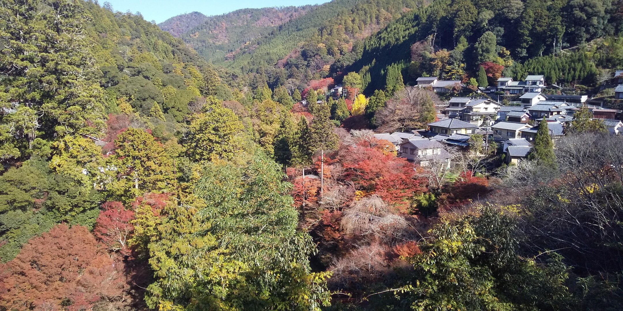 LSD 高山寺、西明寺、神護寺 / えいとうっどさんのランニングの活動データ | YAMAP / ヤマップ