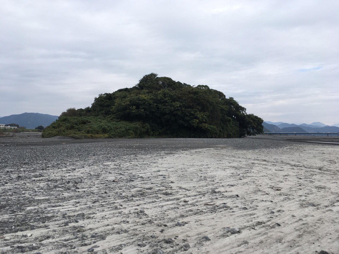 舟山(三角点未踏 )🌲鉄壁の雑木林の塊🌲 / SIM ∞ (≡ ≡･χ) さんの賤機山の活動データ | YAMAP / ヤマップ