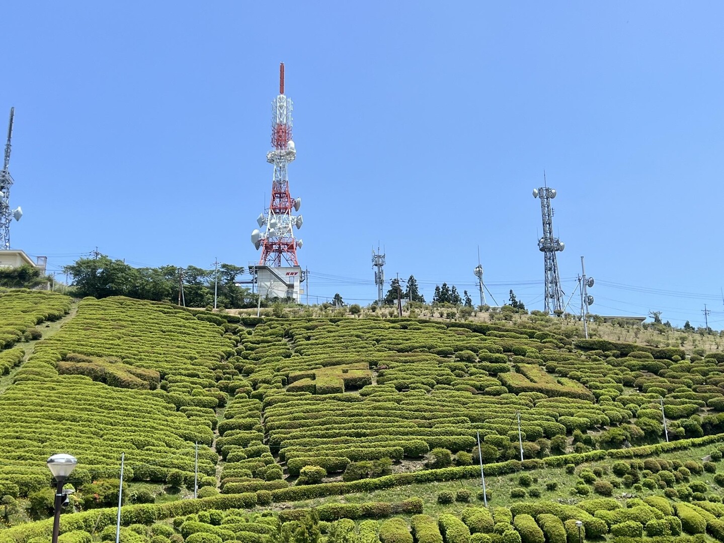 大平山 / chobeeさんの大平山・矢筈岳の活動データ | YAMAP / ヤマップ
