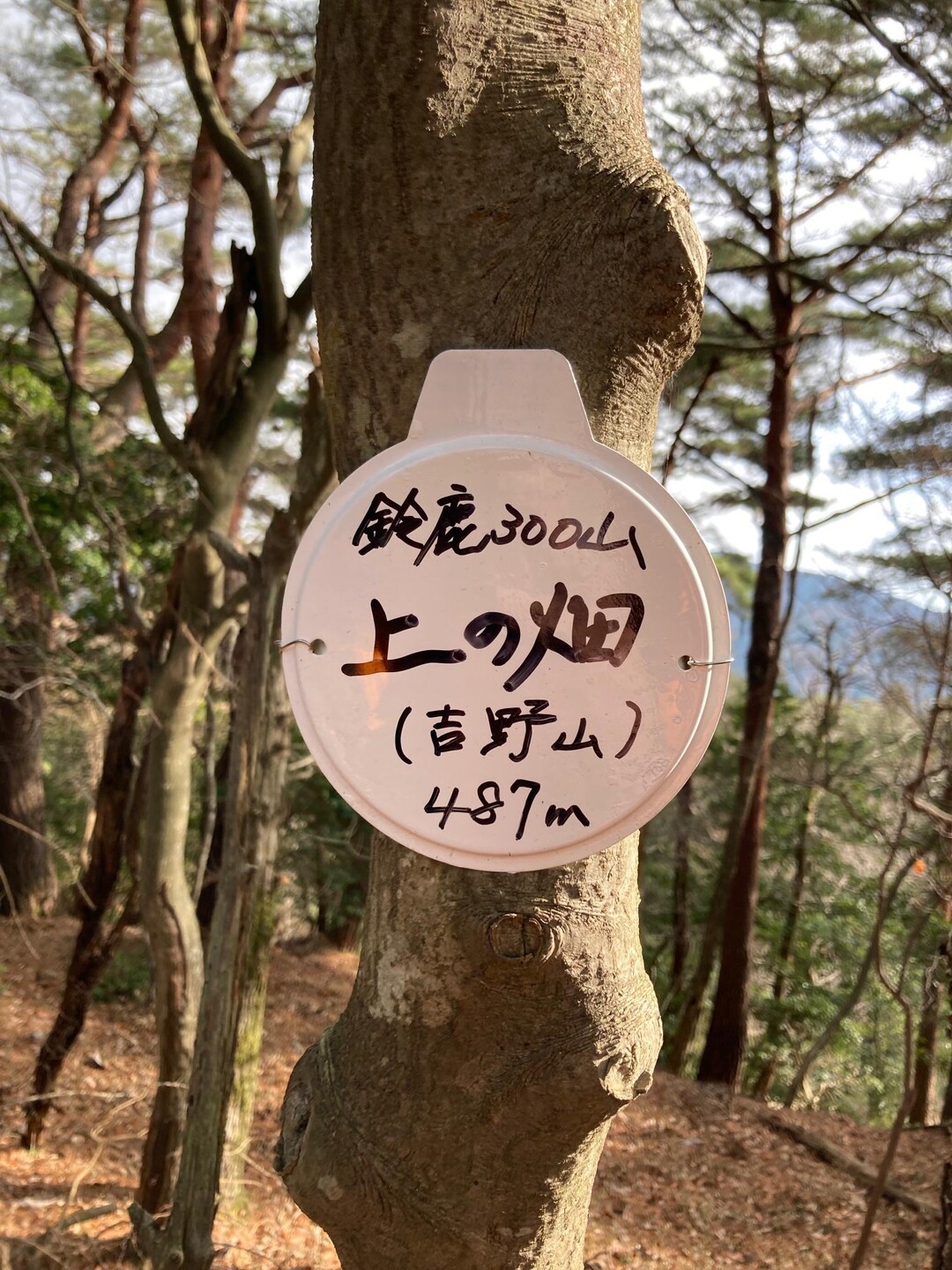 鈴鹿300山•吉野山 209/300 / takaさんの綿向山の活動データ | YAMAP / ヤマップ