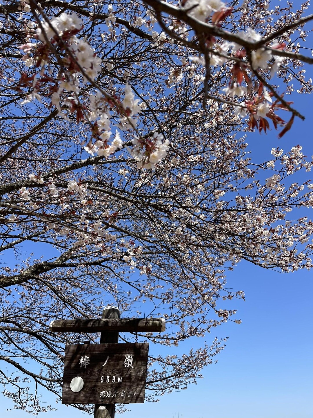 暑い日は棒ノ嶺（棒ノ折山） / KANA&COさんの棒ノ折山（棒ノ嶺）の活動データ | YAMAP / ヤマップ